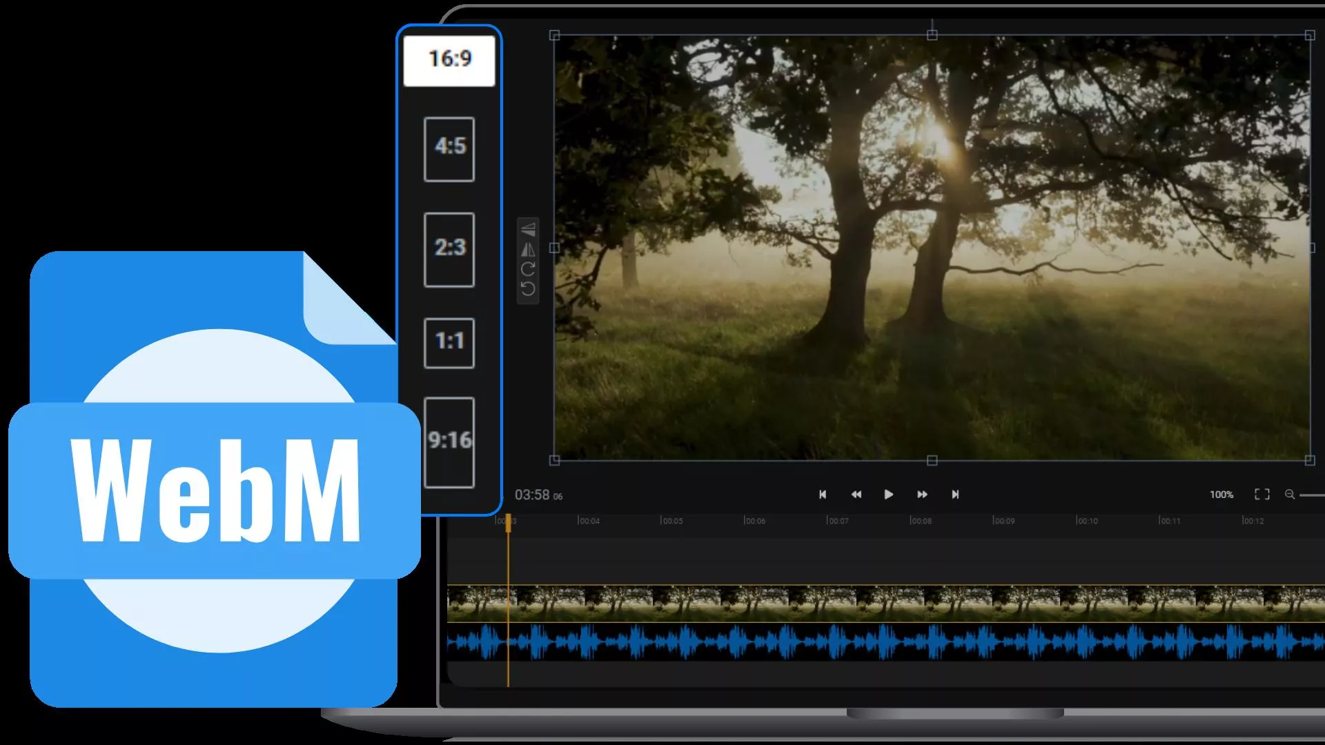 Resize WebM Files Online - No Downloads Required - Flixier