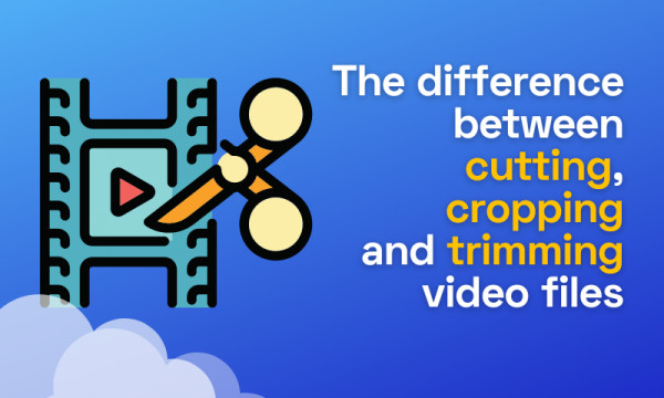 The Difference between Cutting, Cropping and Trimming Video Files | Flixier